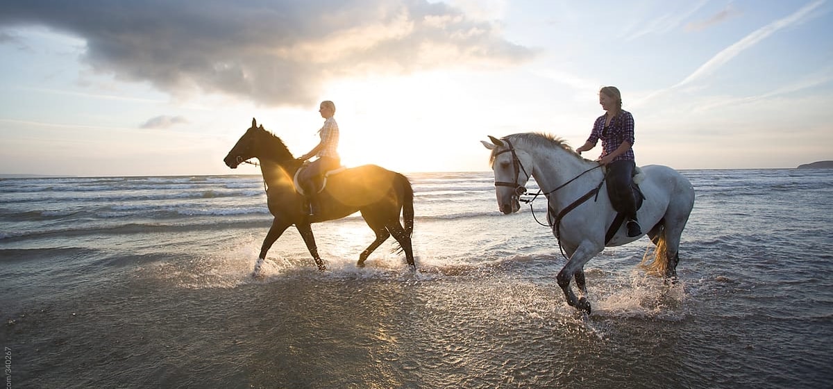 Belek Pferde Reiten | Reiten am Strand | Jetzt Online Buchen